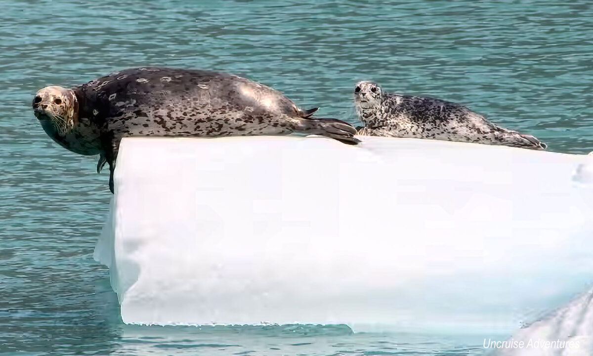 Alaska | Revel Around The World